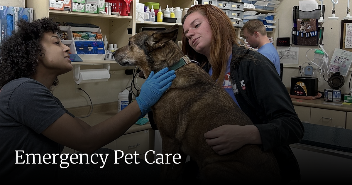 Veterinary Emergency + Critical Care | 24/7 Emergency Vets in Las Vegas