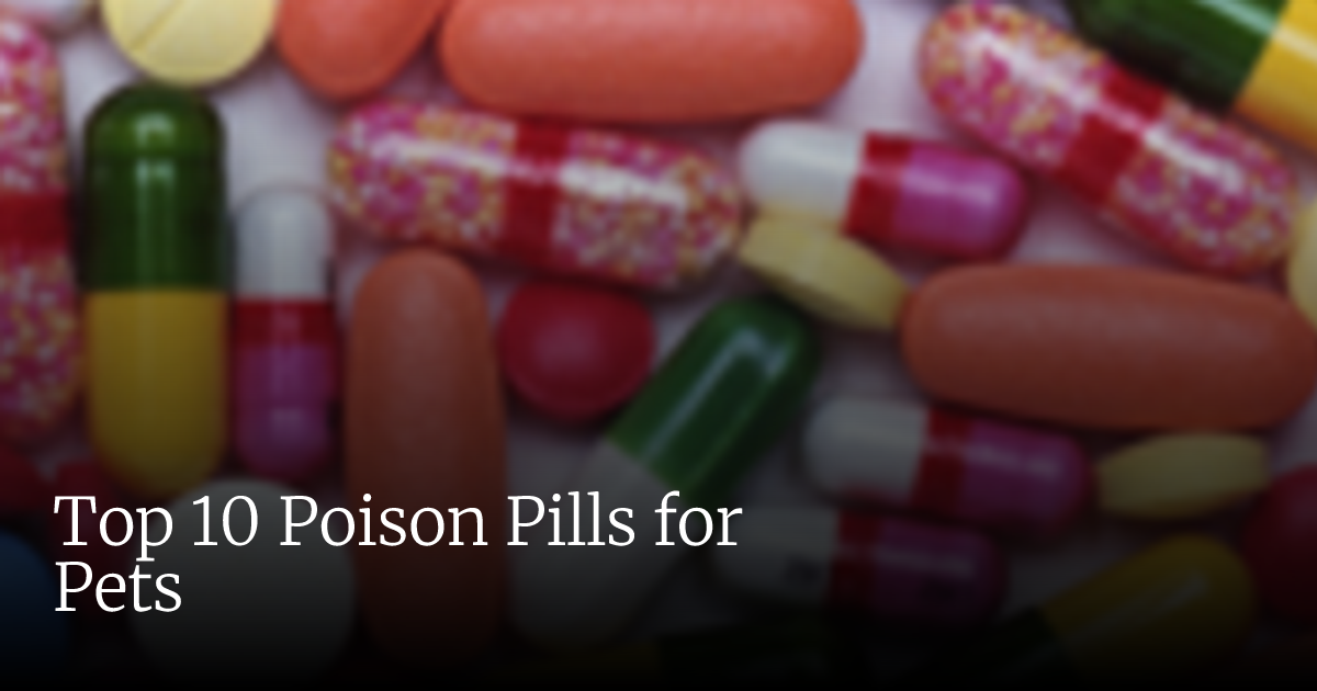Top 10 Poison Pills for Pets