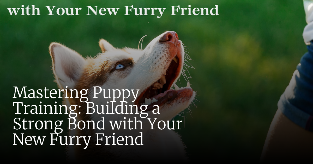 Mastering Puppy Training: Building a Strong Bond with Your New Furry Friend