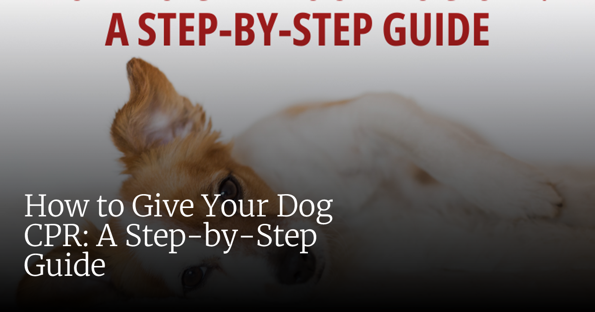 How to Give Your Dog CPR: A Step-by-Step Guide