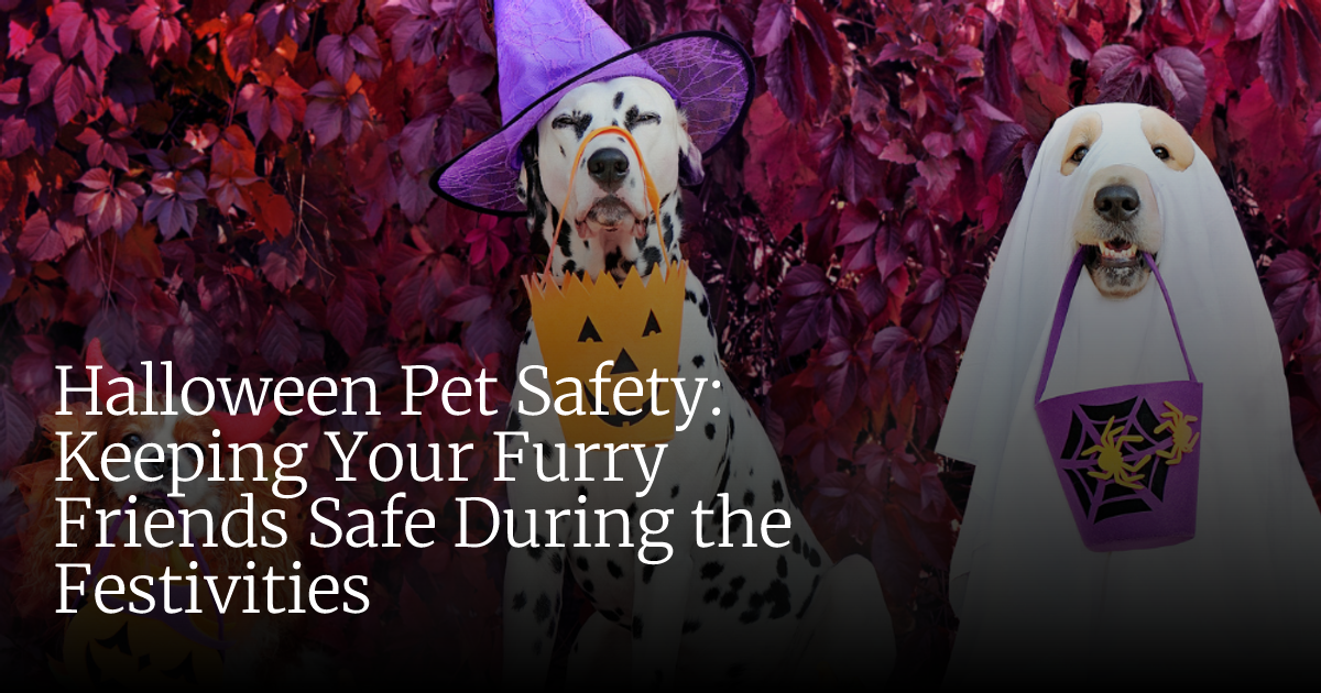 Halloween Pet Safety: Keeping Your Furry Friends Safe During the Festivities