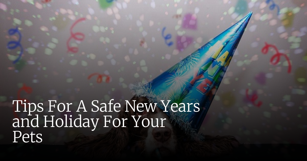 Tips For A Safe New Years and Holiday For Your Pets | Veterinary ...
